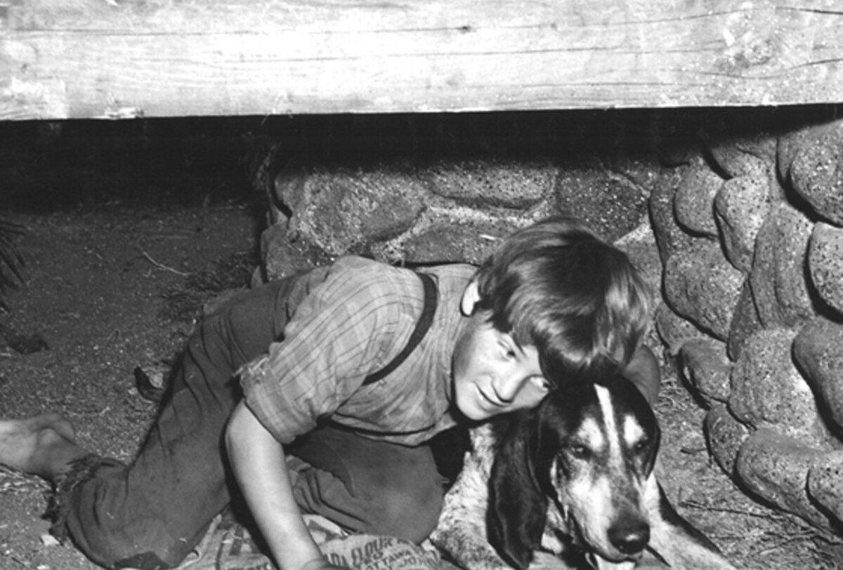 Watch A Boy and His Dog | TCM