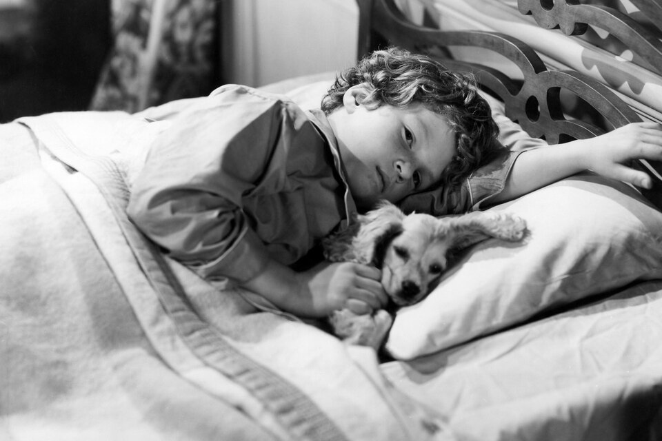 Little Orvie