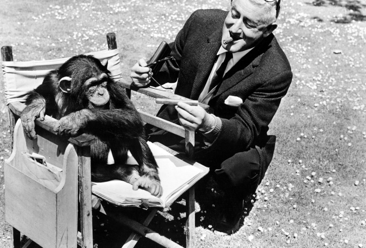 Louis Nye (1913-2005)